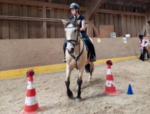 Erlebnis Reitstall Burgherr Hintermoos - Reitstall in Hintermoos